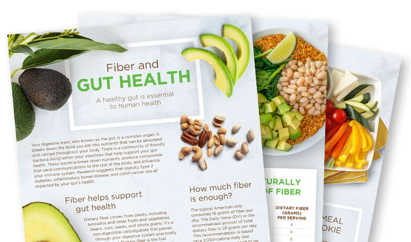 Facts About Fiber and Gut Health - Love One Today®